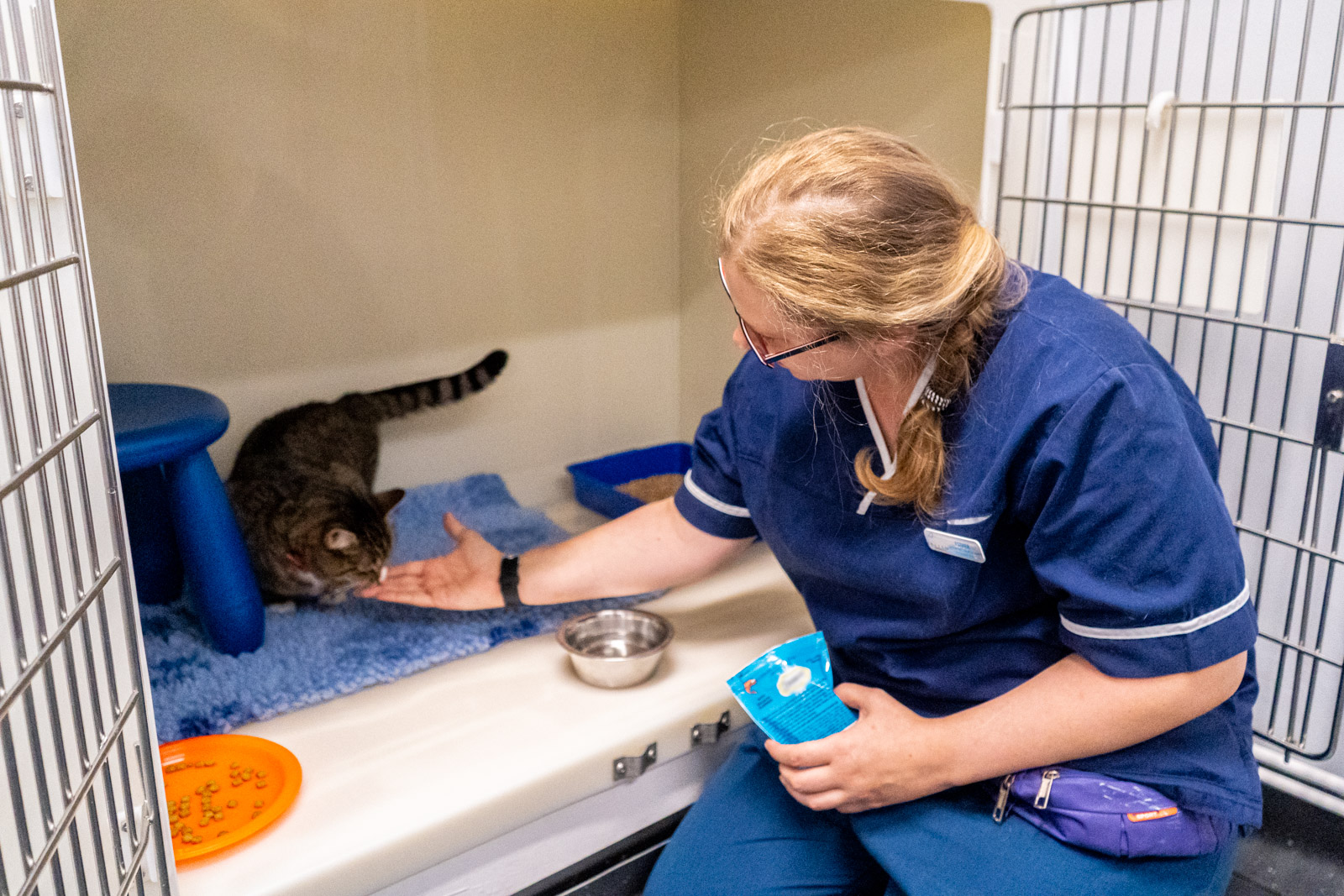 Our Tybridge House Branch in Worcester | Severn Vets